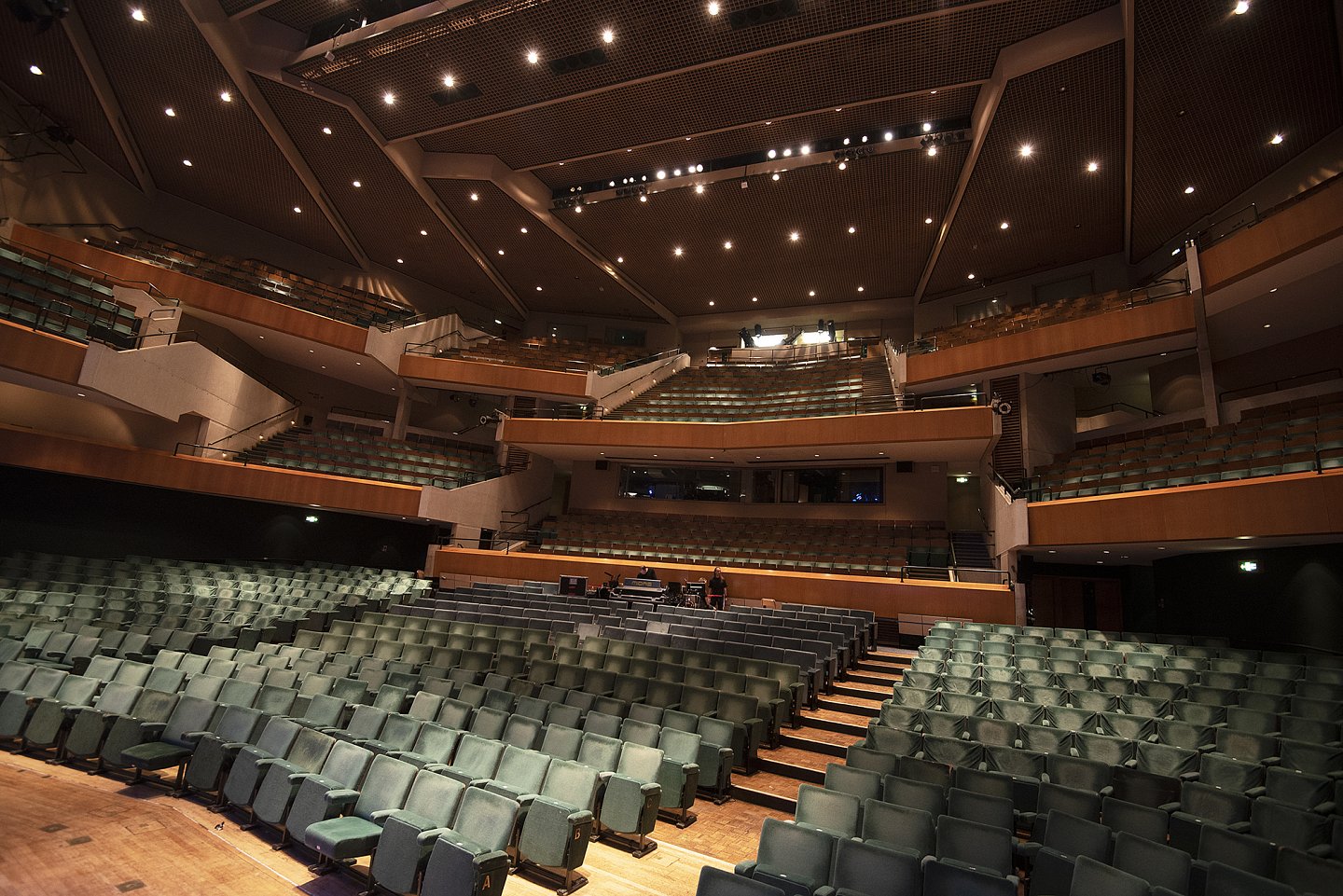 Cardiff Show | TonyLevin.com