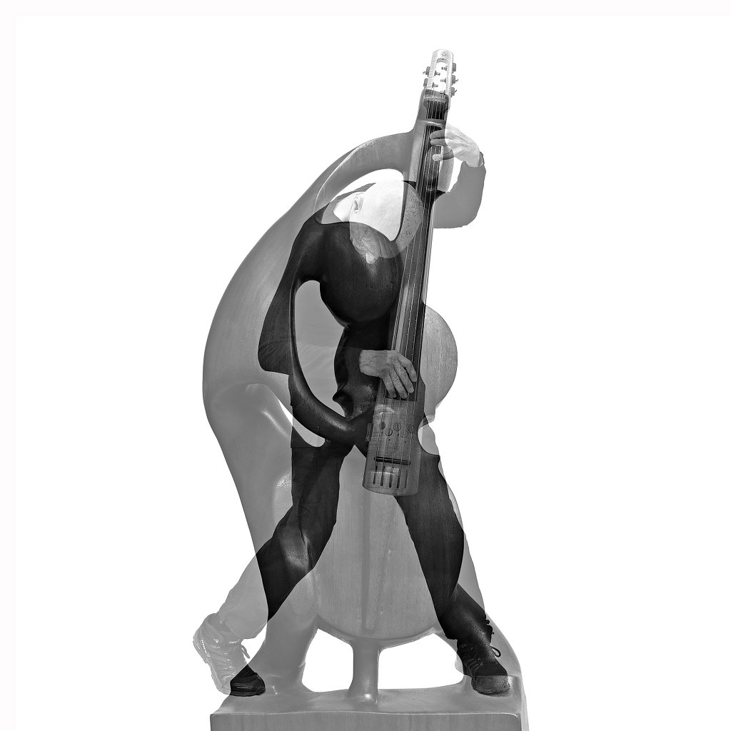 Album | TonyLevin.com